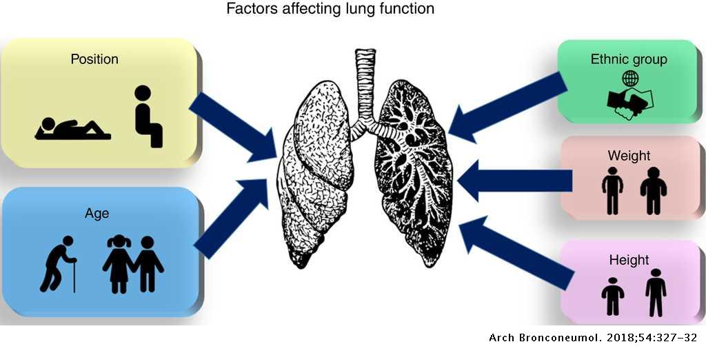 What are some lifestyle factors that influence respiratory function?