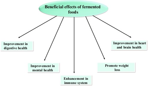 What are some negative aspects to the fermentation products in human health?