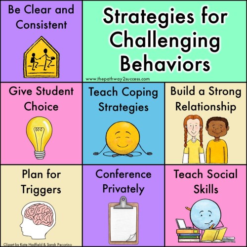 What are some of the causes of challenging behaviors in a classroom setting?