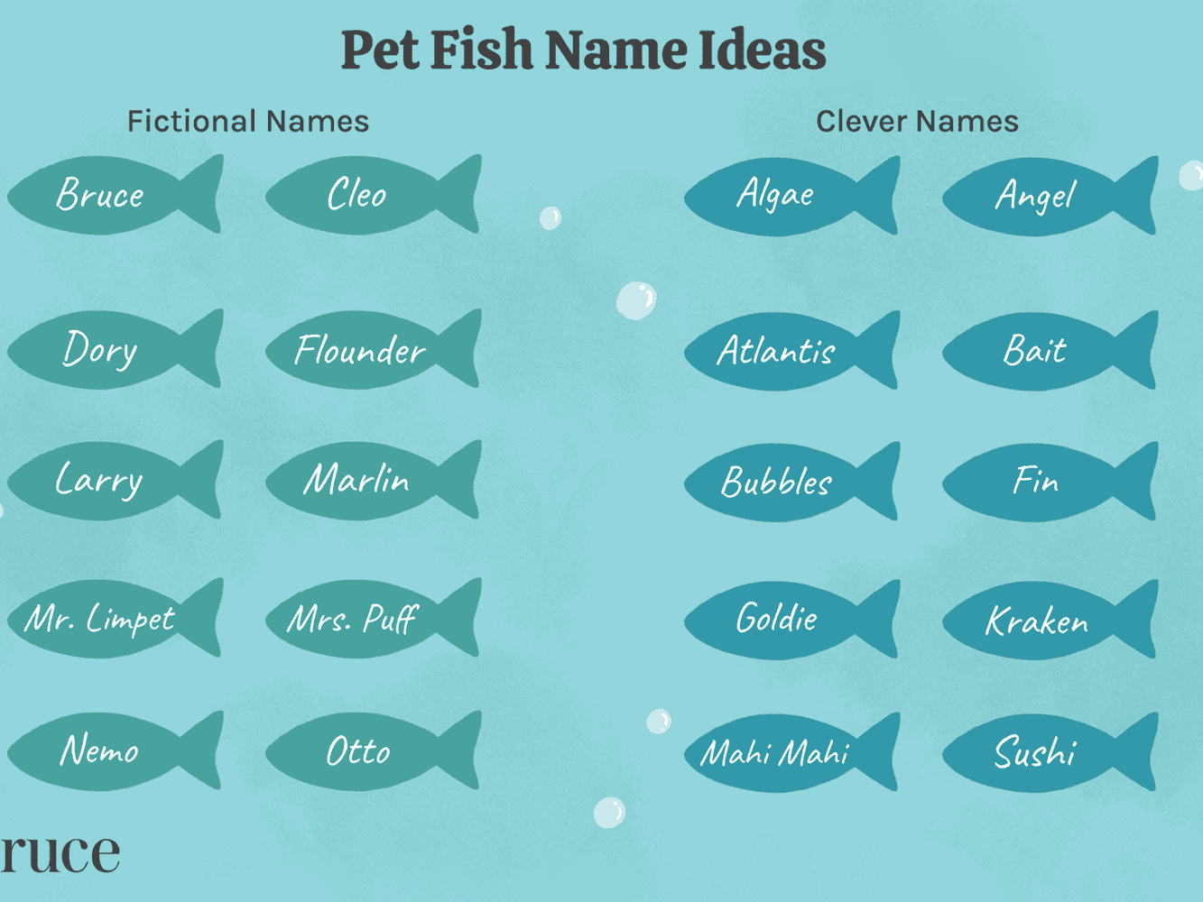 What are some unique names for fish?