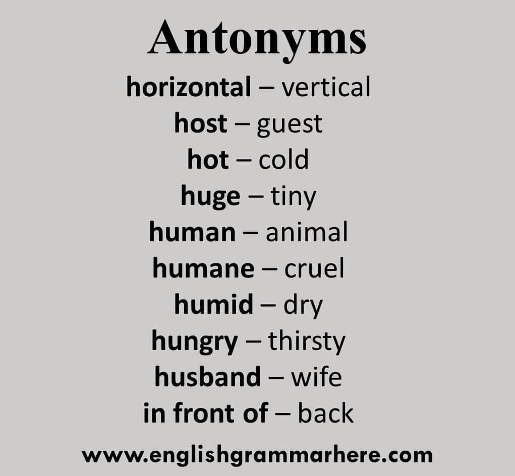 What are the 10 examples of antonyms?