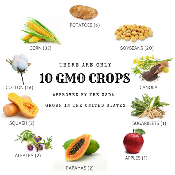 What are the 10 GMO crops?