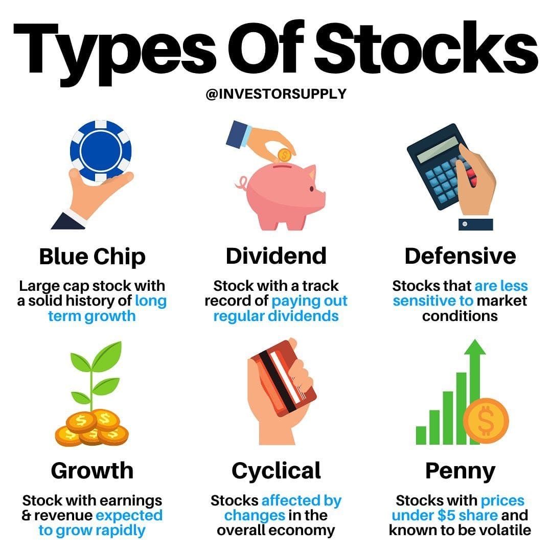 What are the 10 types of stock?