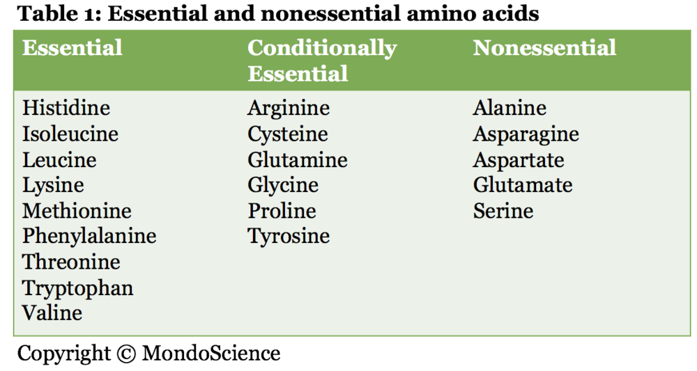 What are the 12 essential amino acids?