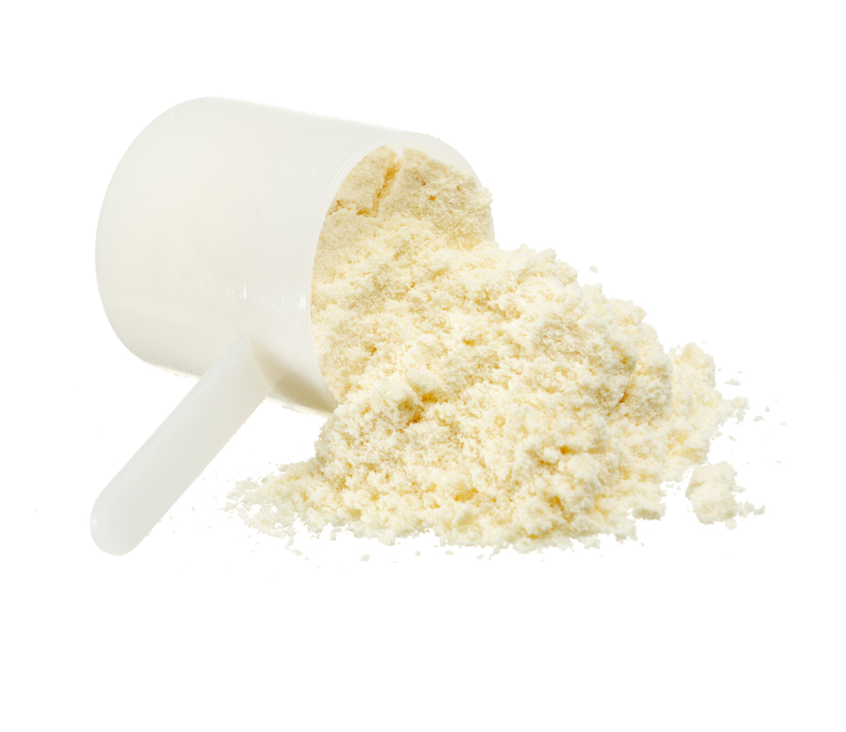 What are the 12 ingredients to look for in protein powder?