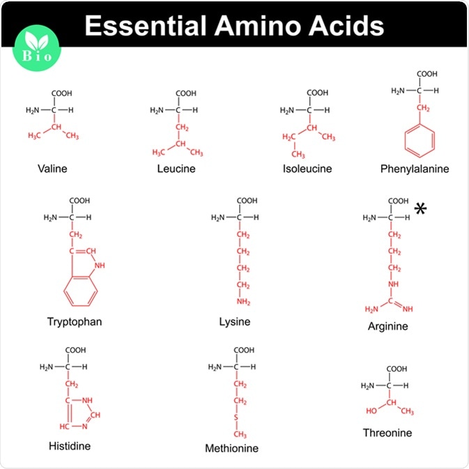 What are the 3 essential amino acids?
