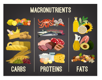 What are the 3 macronutrients and why are they important?