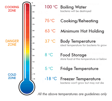 What are the 3 main guidelines of checking the temperature in food?
