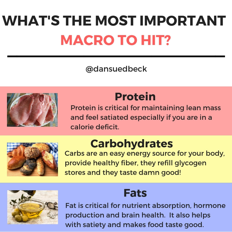 What are the 3 most important macronutrient?