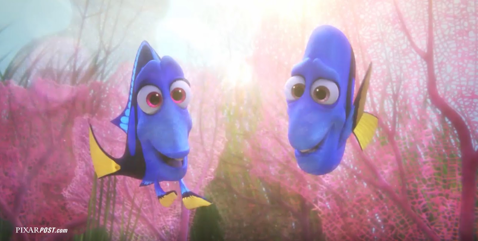 What are the 3 R's of the Marine Institute in Finding Dory?