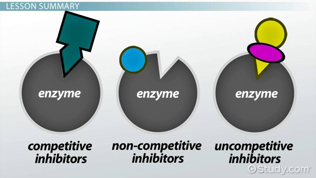 What are the 3 types of enzyme inhibitors?