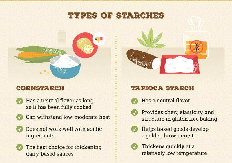 What are the 3 types of starch?