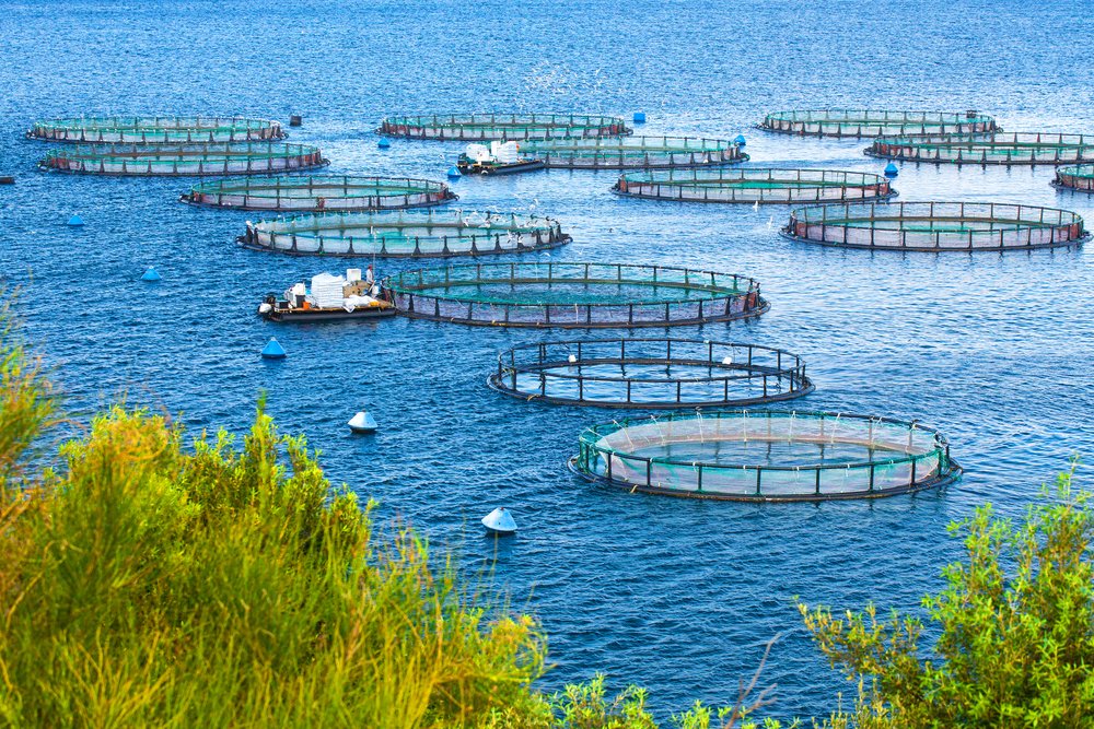 What are the 4 common methods in aquaculture?
