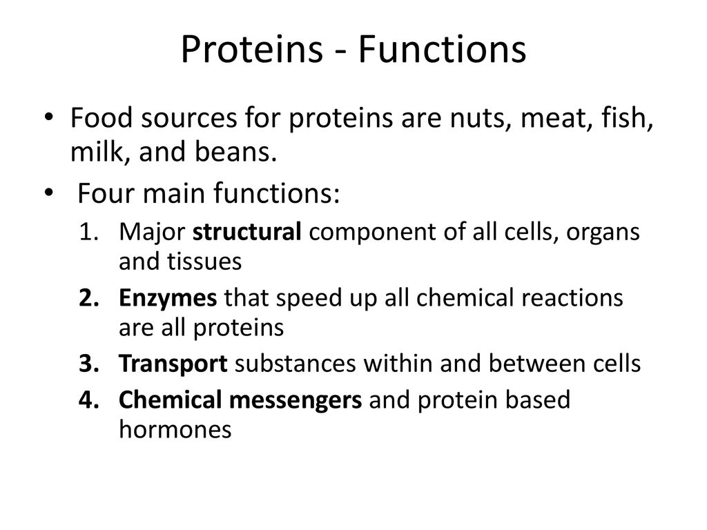 What are the 4 functions protein?