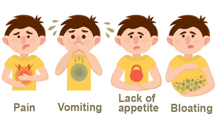 What are the 4 main digestive problems that we can have?