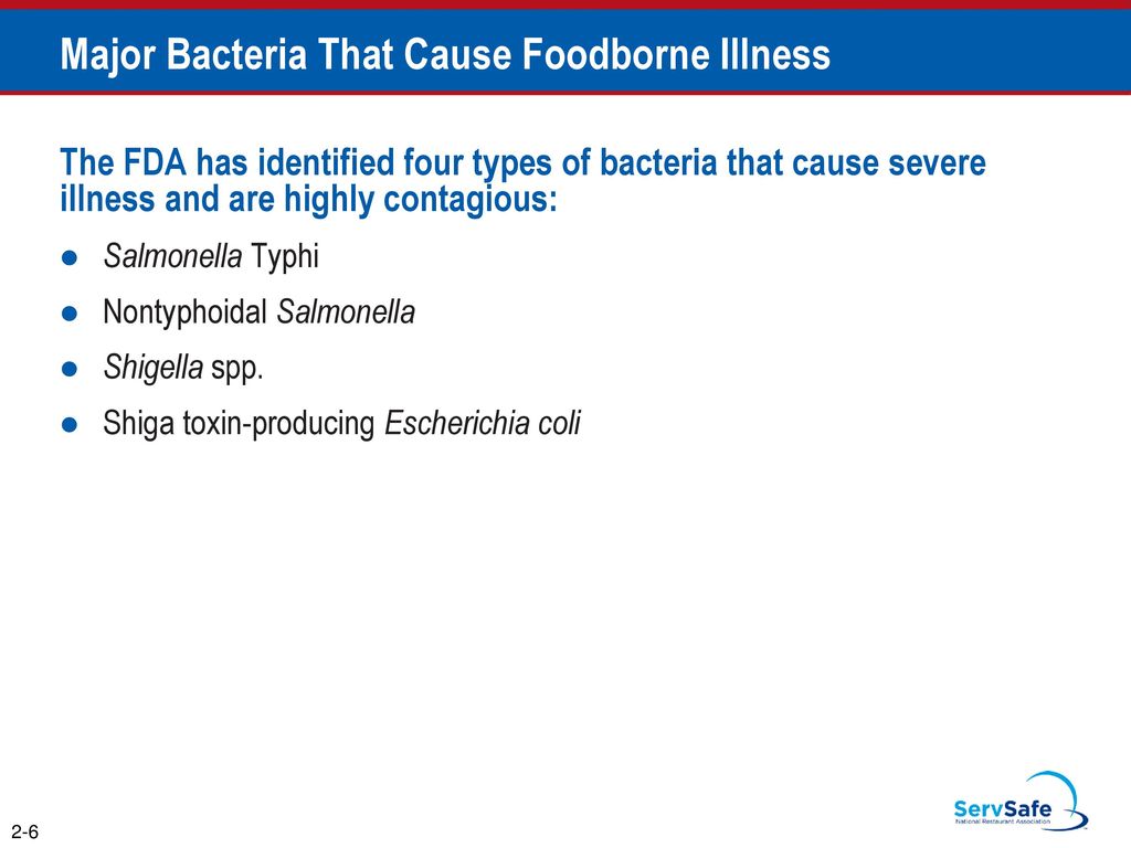 What are the 4 major bacteria that cause foodborne illness?