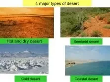 What are the 4 major types of deserts?