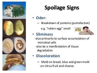 What are the 4 signs of food spoilage?
