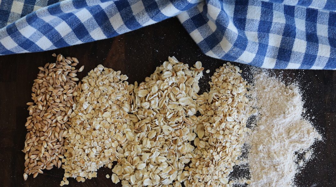 What are the 4 types of oats?