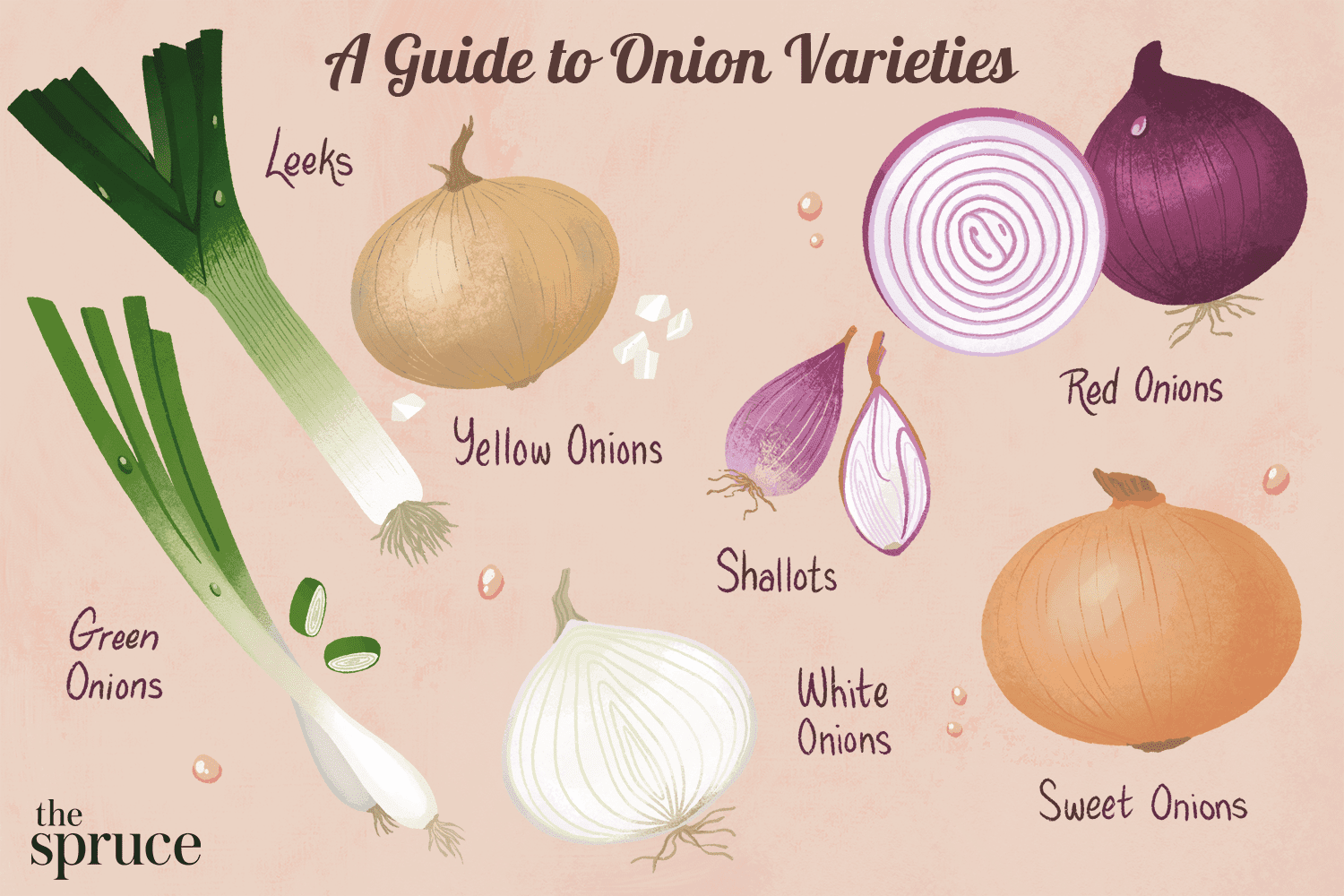 What are the 4 types of onions?