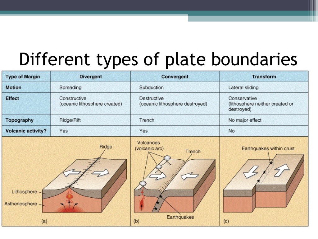 What are the 4 types of tectonic plate movements?