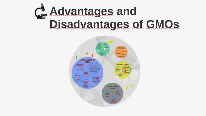 What are the 5 disadvantages of GMOs?