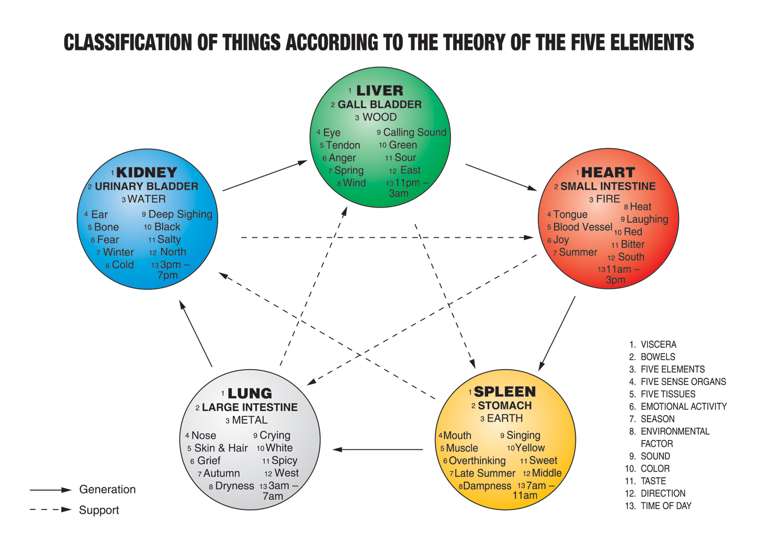 What are the 5 elements of TCM and how do they relate to the body?