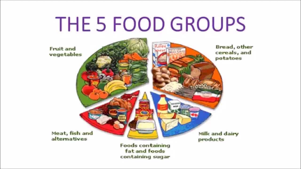 What are the 5 food groups?