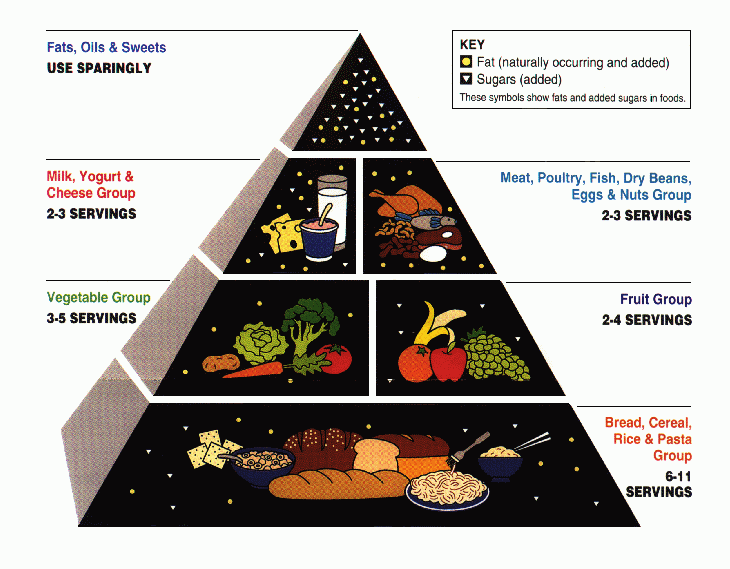 What are the 5 main dietary guidelines?