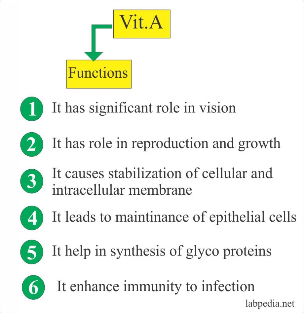 What are the 5 major functions of vitamin A?