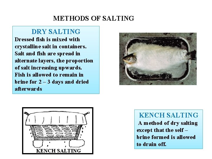 What are the 5 methods of salting fish?