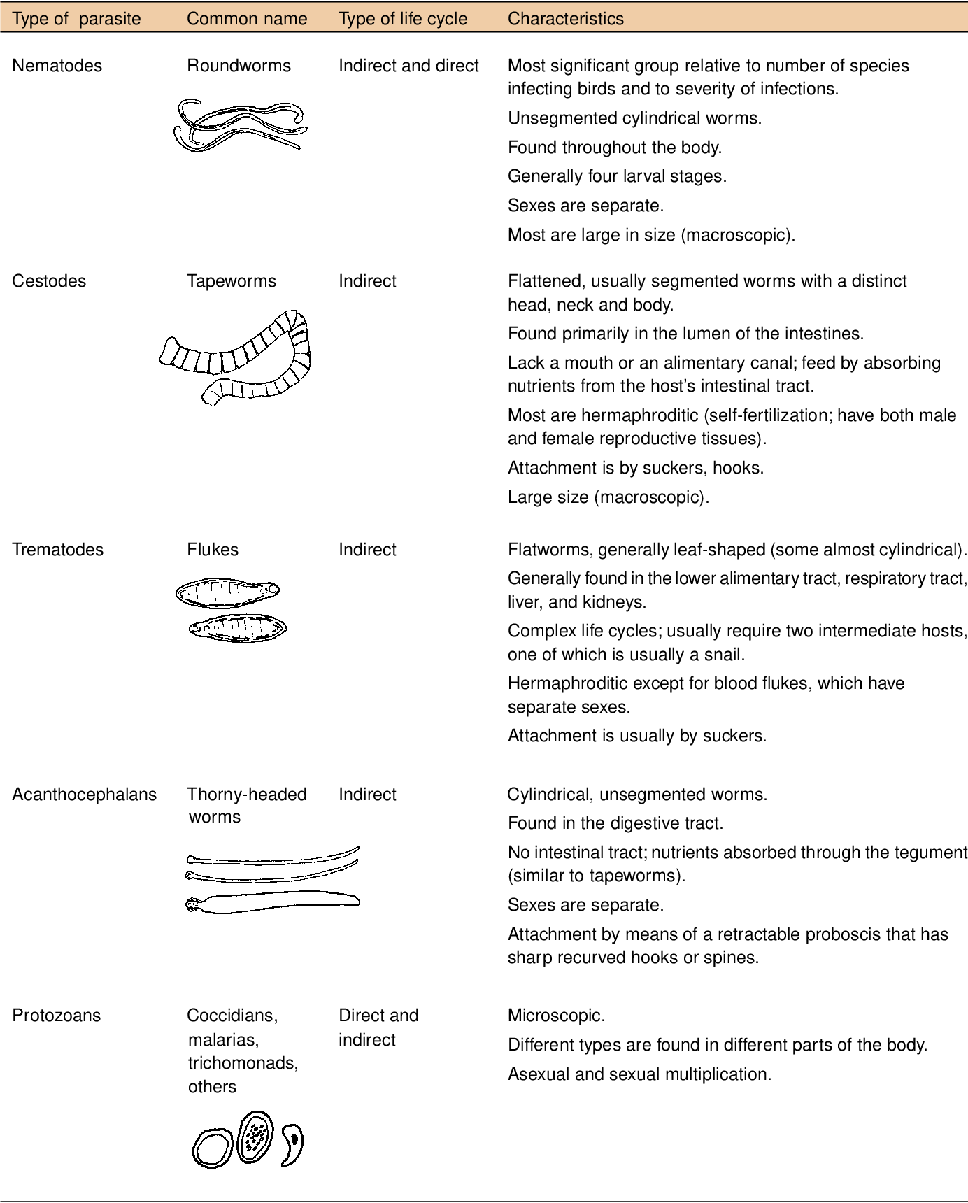 What are the 5 parasites?