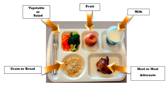 What are the 5 parts of a meal?