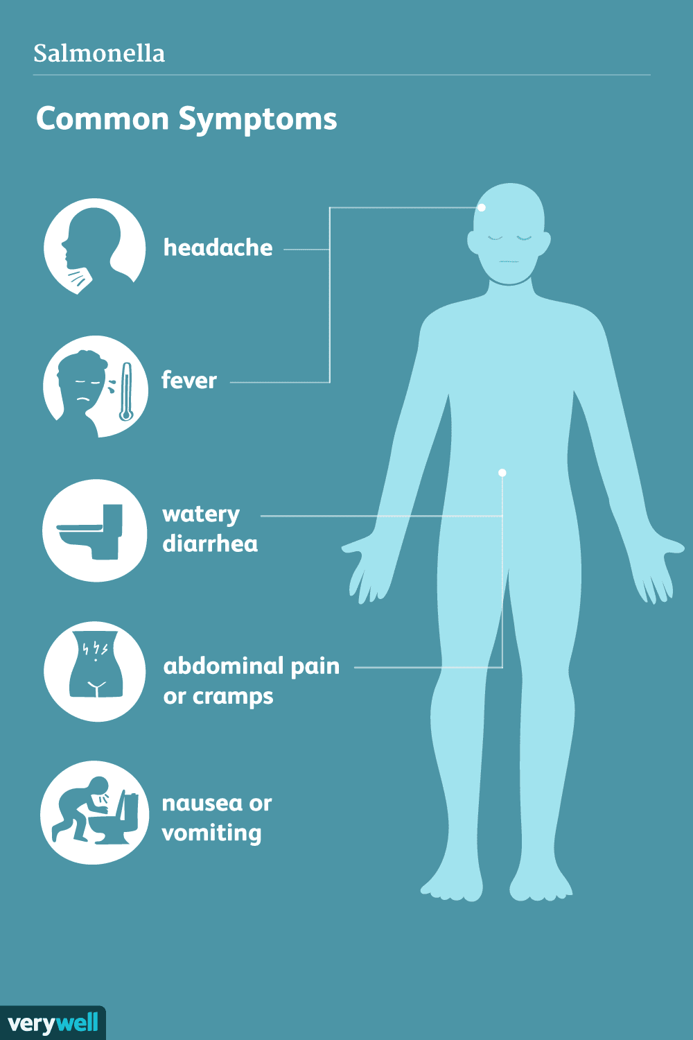 What are the 5 symptoms of a salmonella infection?