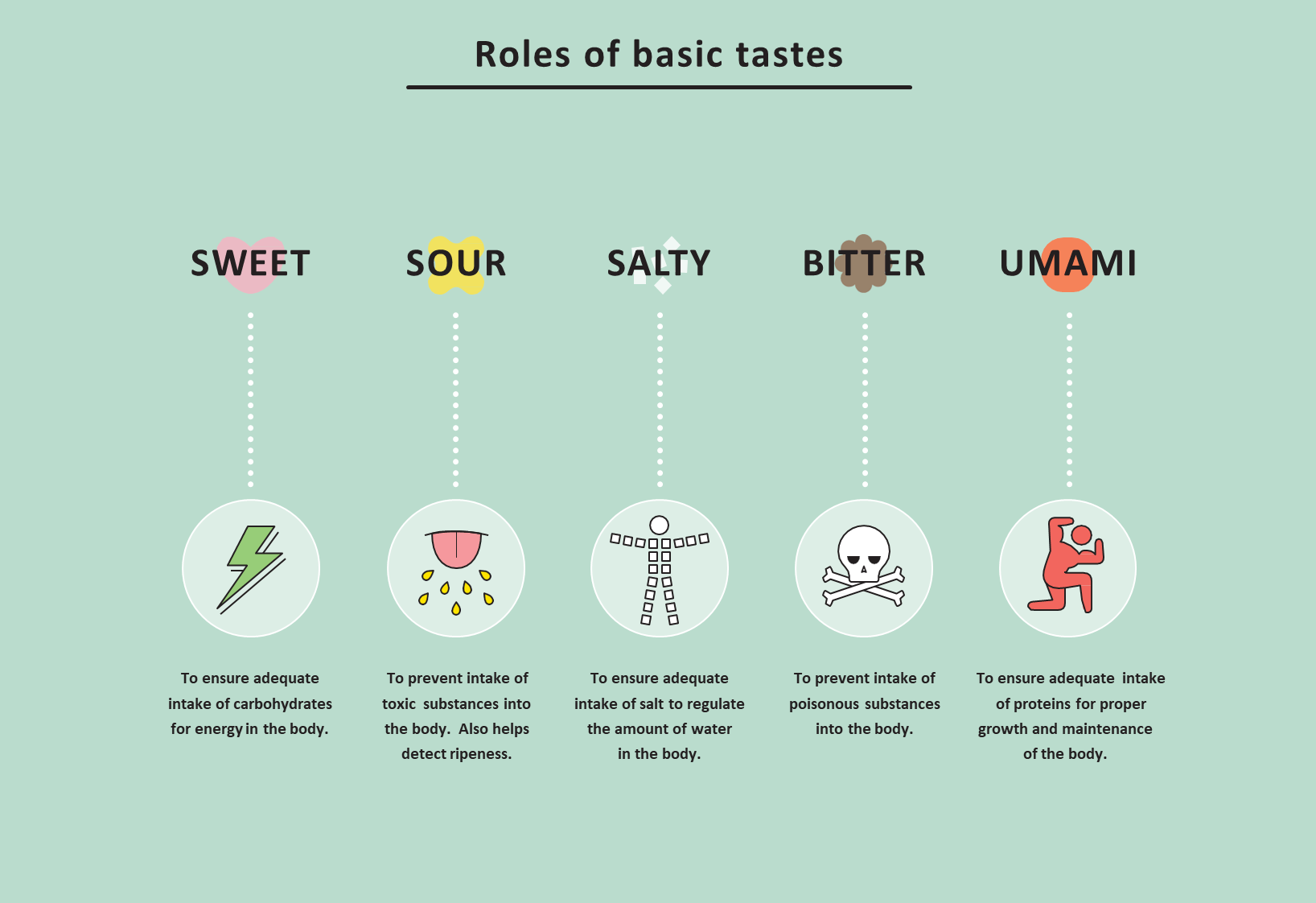 What are the 6 basic tastes?