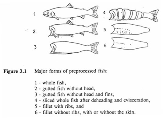 What are the 6 methods of food processing applied in fish?