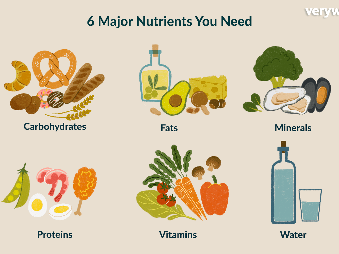 What are the 6 nutrients and their function? [2022] | QAQooking.wiki