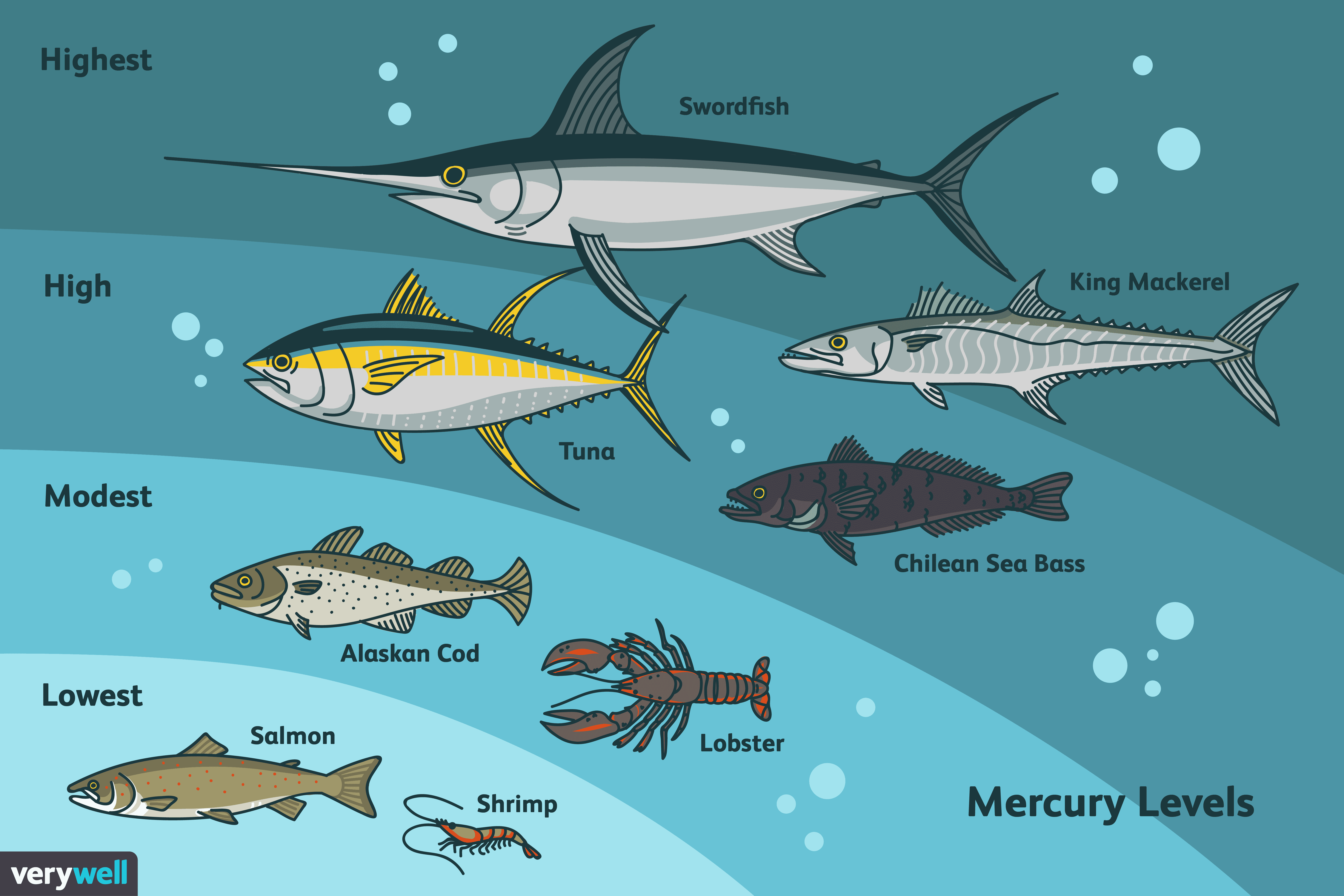 What are the 7 highest mercury fish?