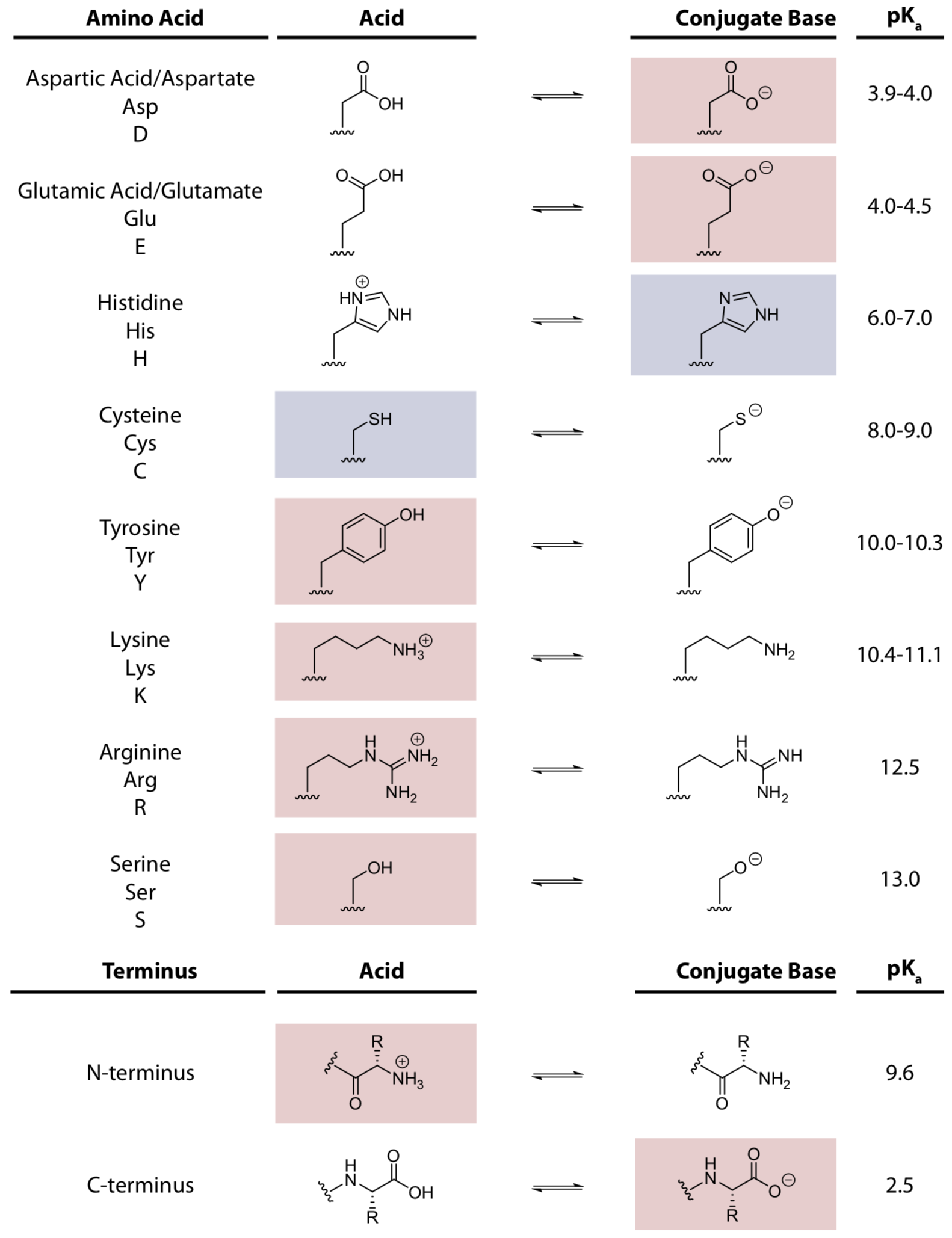 What are the 7 Ionizable amino acids?