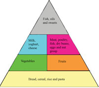 What are the 7 main nutrients?