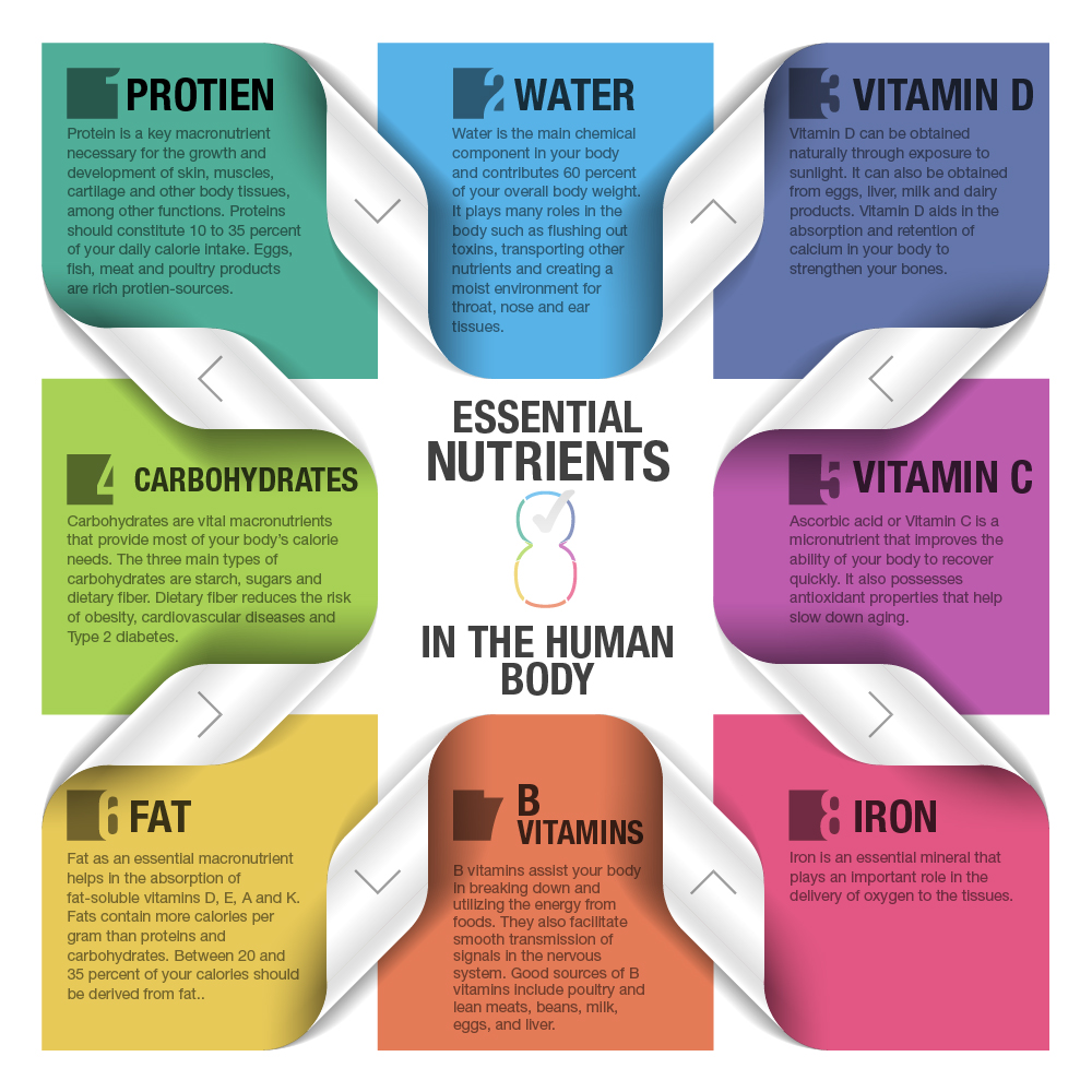 What are the 8 basic nutrients?