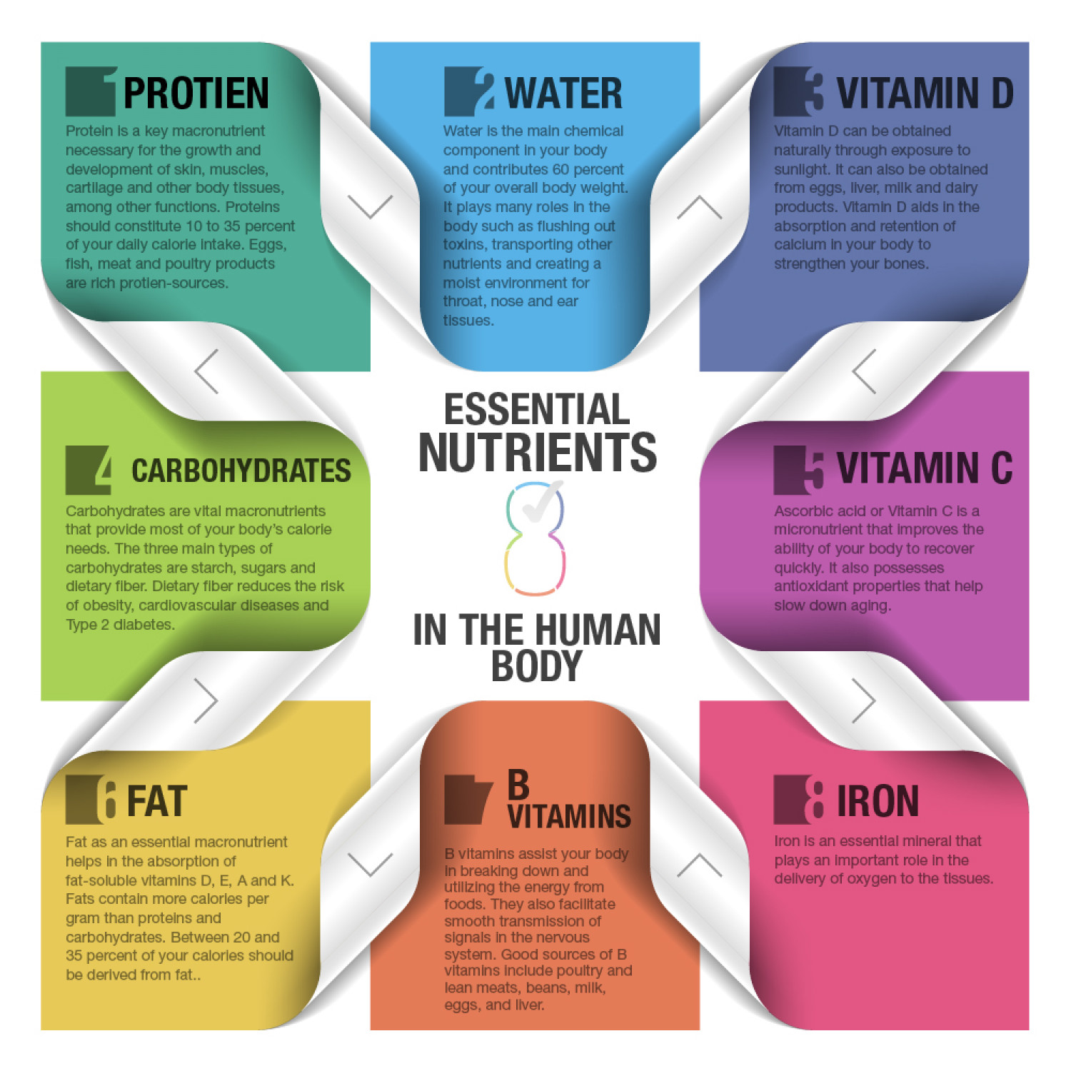What are the 8 types of nutrients?