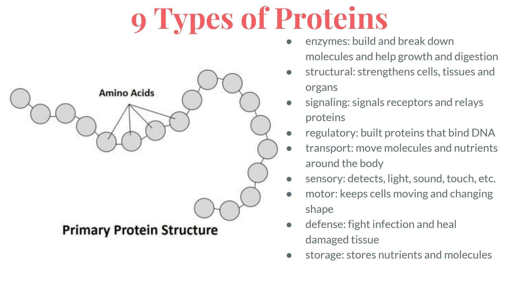 What are the 9 categories of proteins?