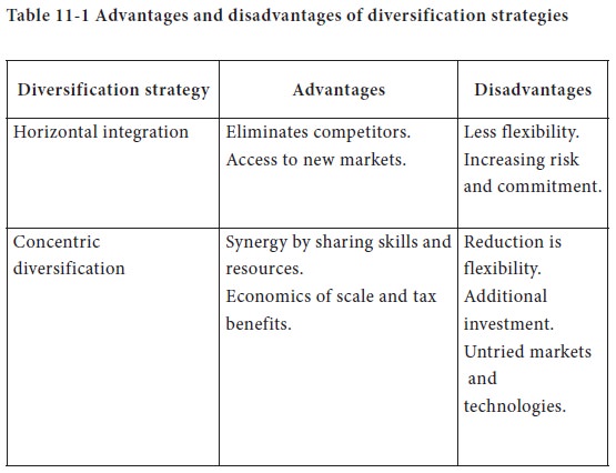 What are the advantages of diversification in a business?