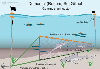 What are the advantages of gill nets?