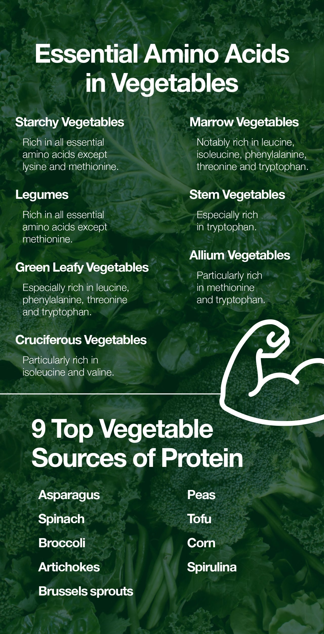 What are the amino acids found in starchy vegetables?