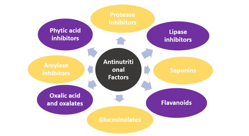 What are the Antinutritional factors present in pulses?