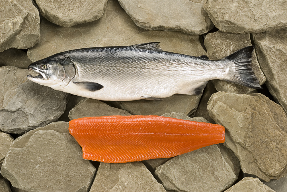 What are the benefits of a wild-caught fish?