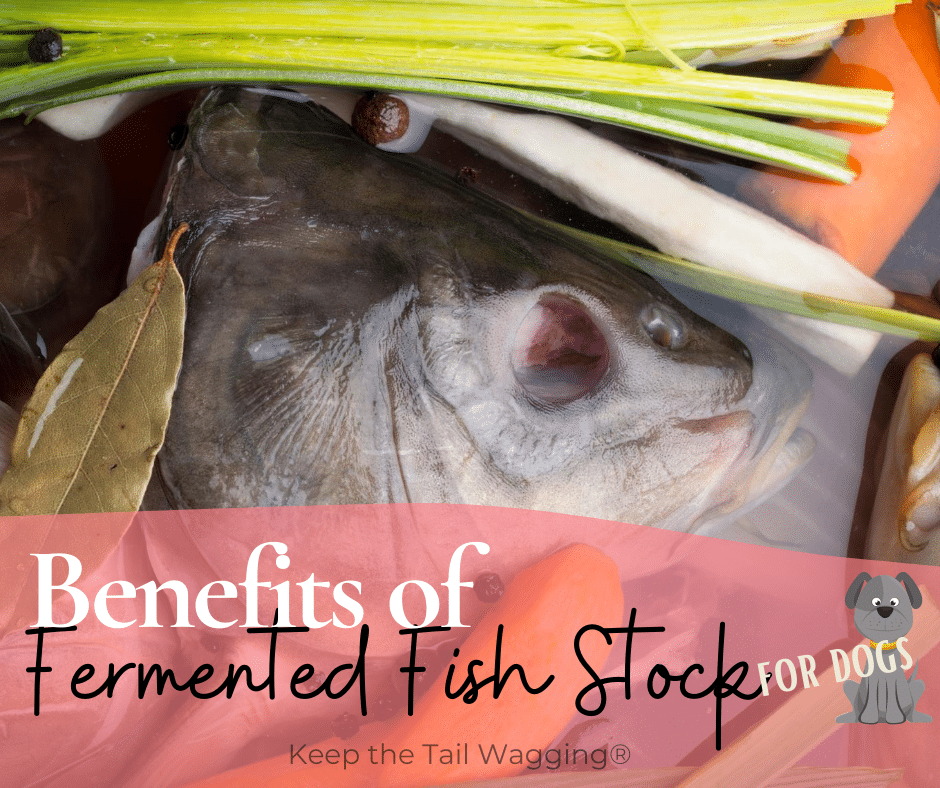 What are the benefits of fermented fish stock for dogs?