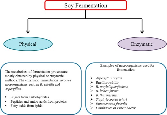 What are the benefits of fermented soy?